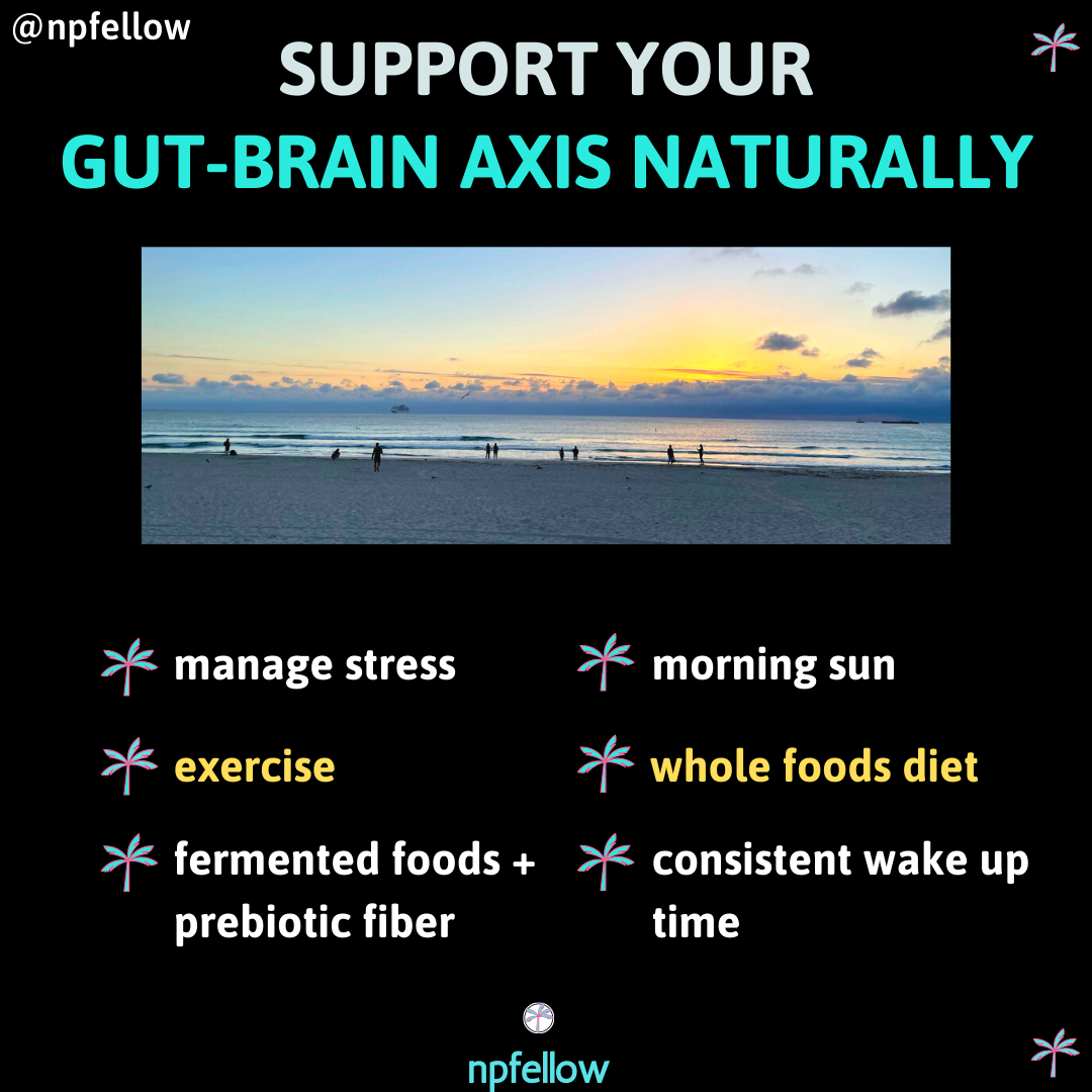 The Gut-Brain Axis (GBA)